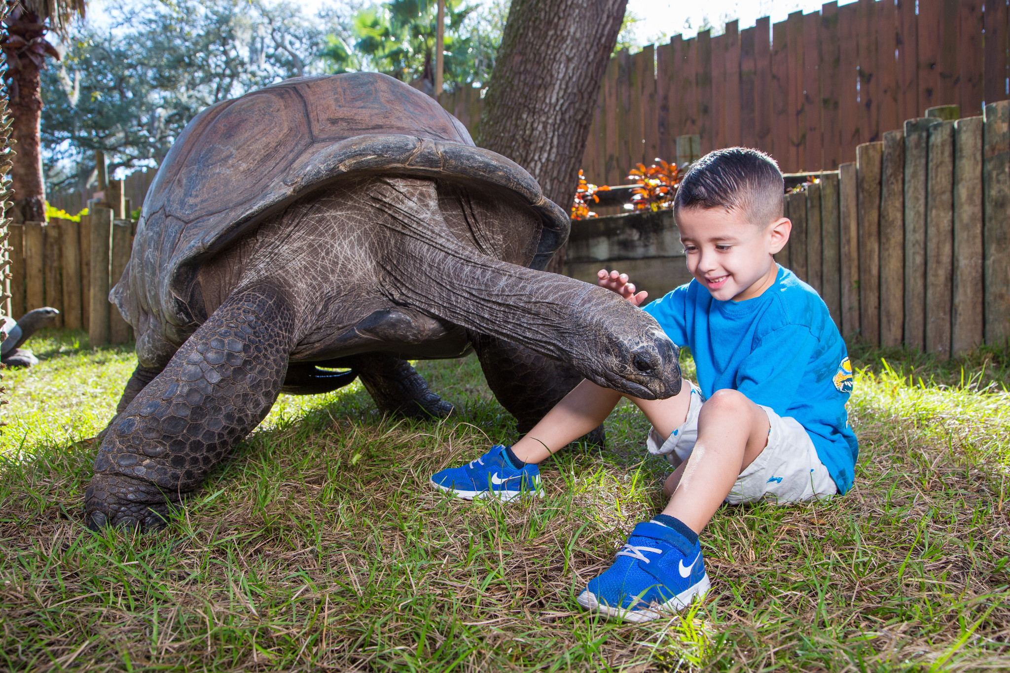 ZooTampa | Tampa, FL | 45684 - Featured