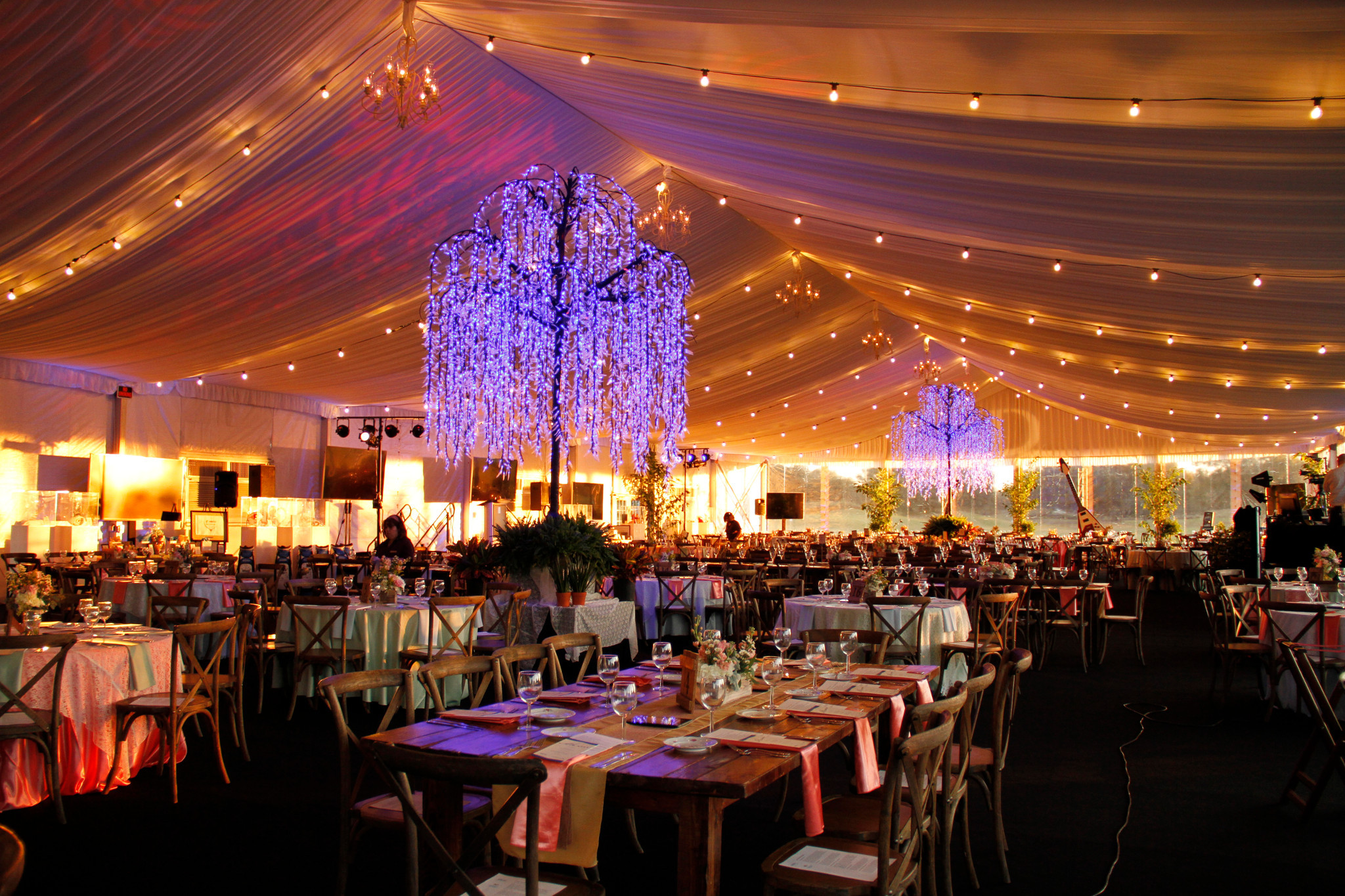 Wizard Connection | Orlando, FL | 38878