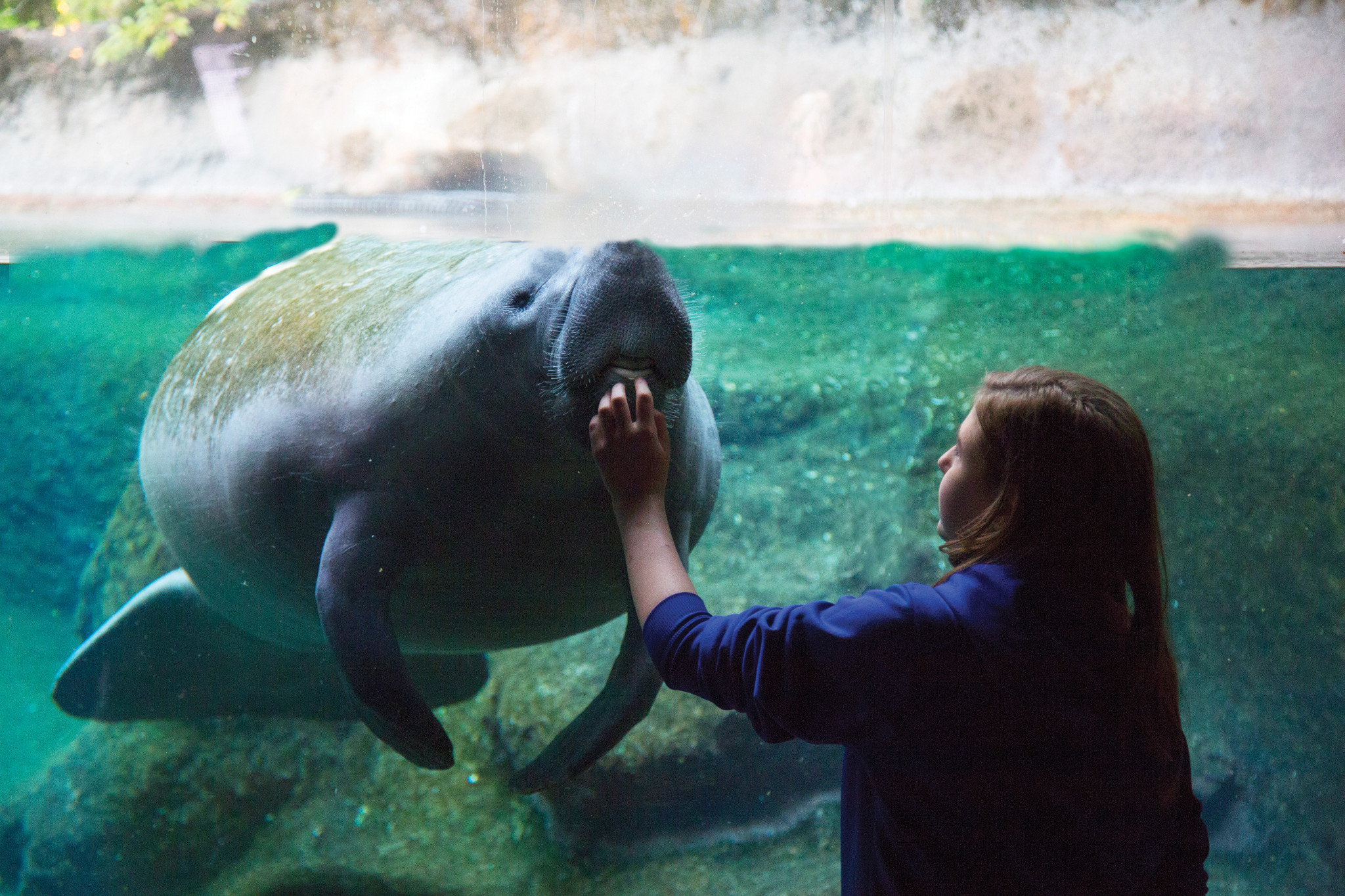 ZooTampa | Tampa, FL | 45684 - Featured