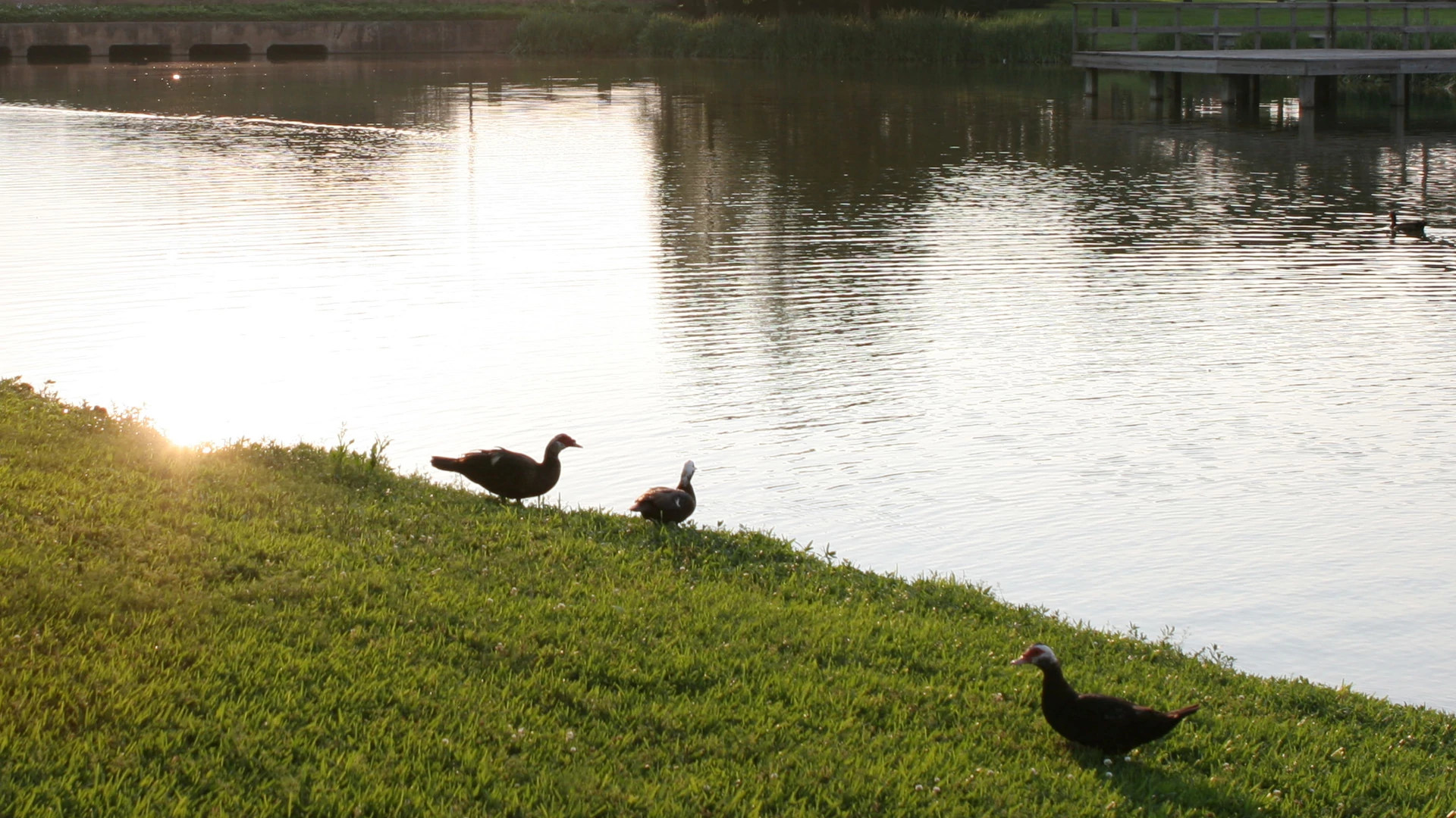 Bill Frederick Park at Turkey Lake | Orlando, FL | 54512
